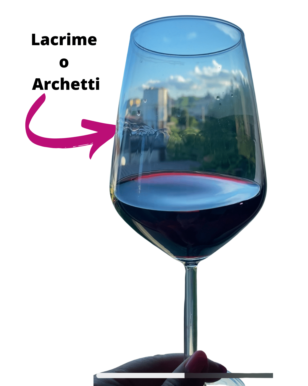 Il corpo del vino spiegato in 3 step: definizione, degustazione e ...